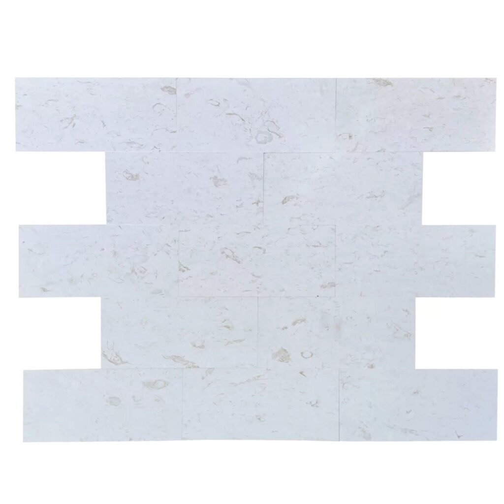 Shellstone Tile – SUNRISE MARBLE